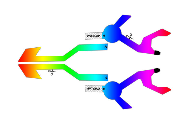 Templates – LightMode
